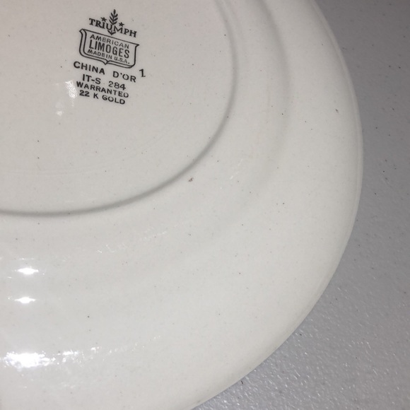 American Limoges | Dining | Vintage American Limoges Triumph China Dor ...